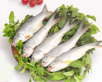 Gurjali( 15 - 20 Pcs per Kg )(1Kg)